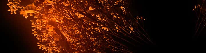 Arturia - MiniFreak V